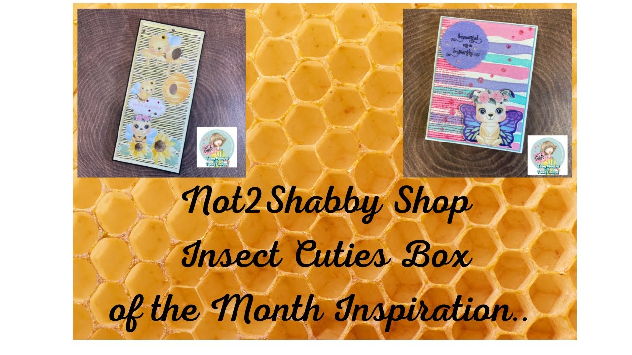 Not2Shabby Shop Insect Cuties Box of the Month Inspiration...