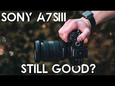 Sony A7S III: Still great