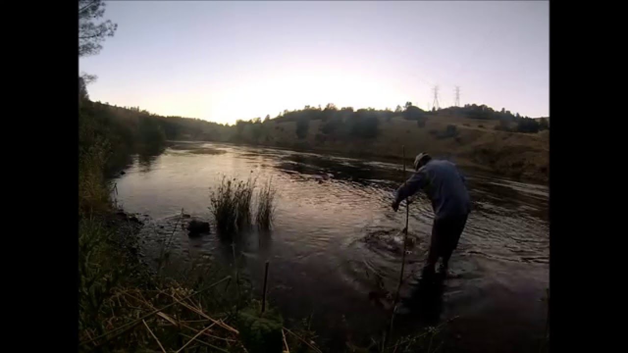 Fishing The Diversion Pool for Giant Rainbow Trout & inland coho Salmon record