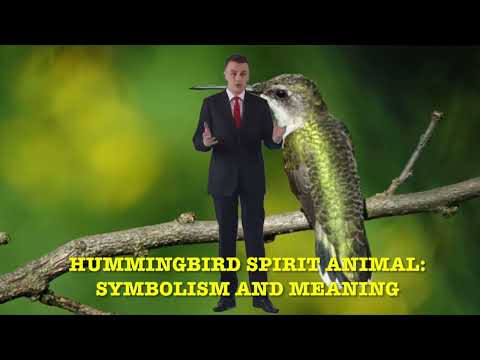 HUMMINGBIRD SPIRIT ANIMAL SYMBOLISM AND MEANING