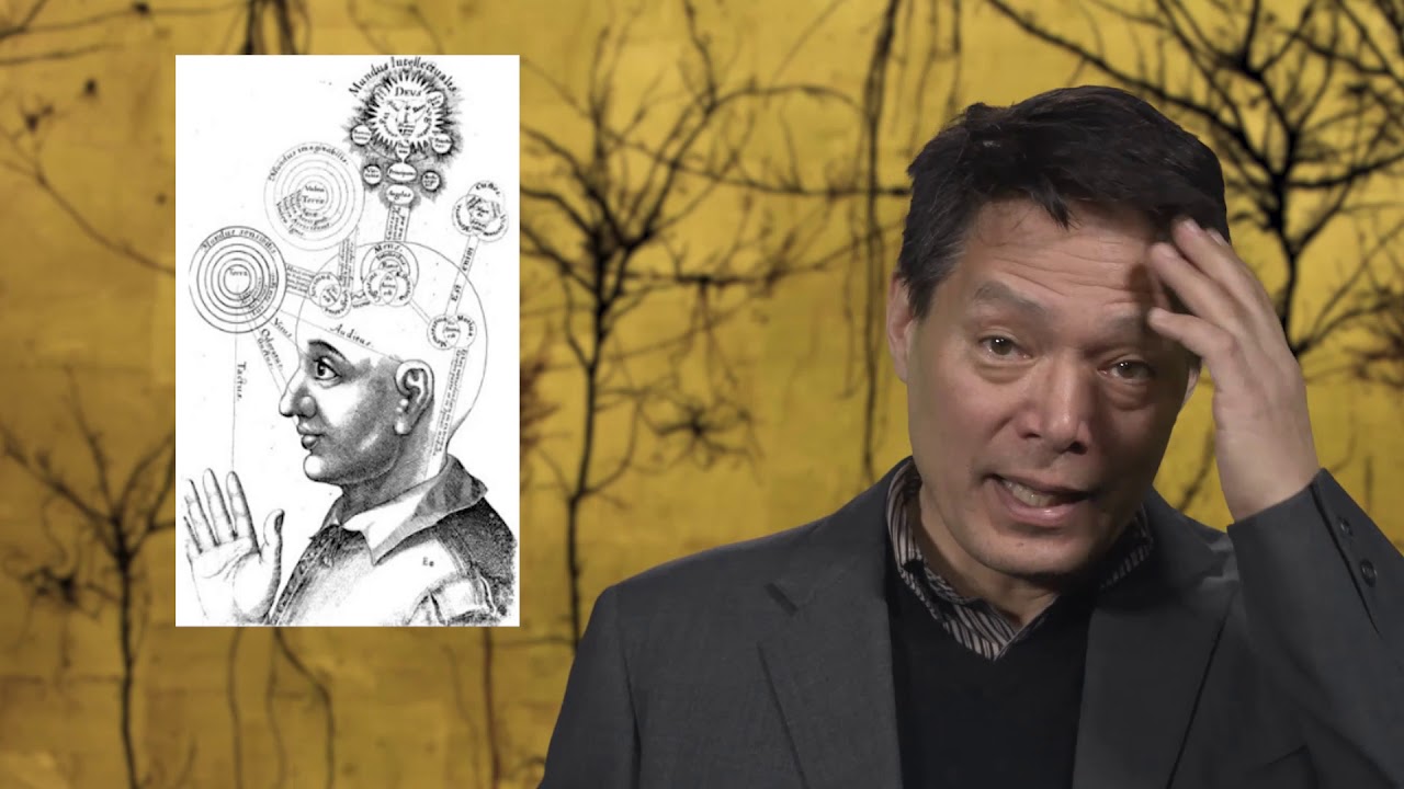 5 6 Mental modularity