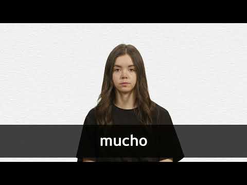 English Translation of “MUCHO” | Collins Spanish-English Dictionary