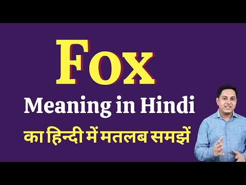 Fox meaning in Hindi | Fox ka kya matlab hota hai | Spoken English Class