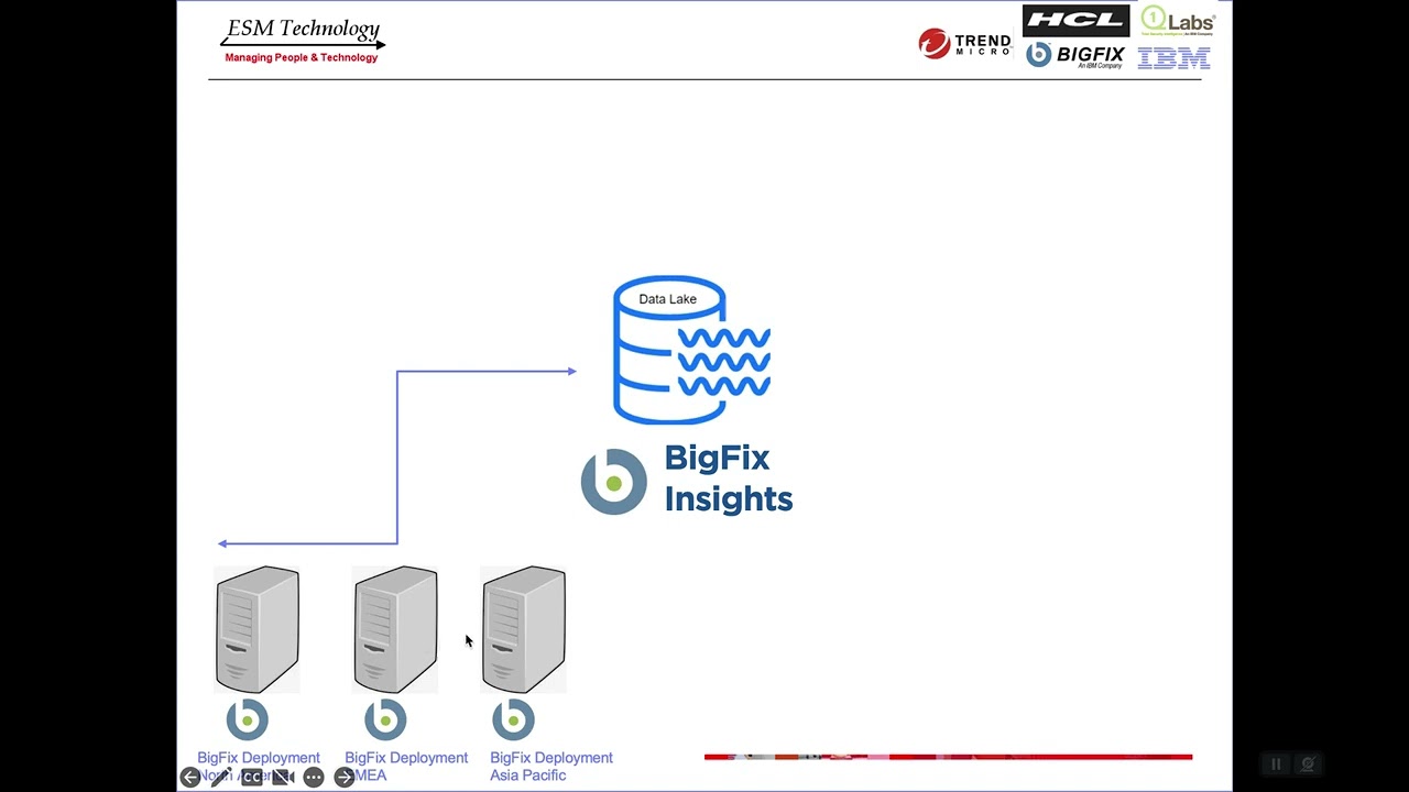 The Data from BigFix Insights