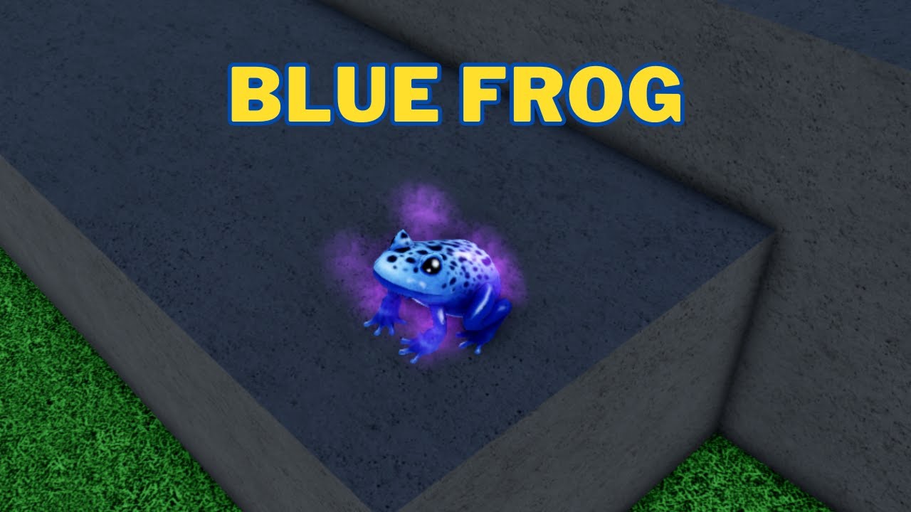 Where To Find The Blue Frog in Wacky Wizards | Blue Frog Location 🐸