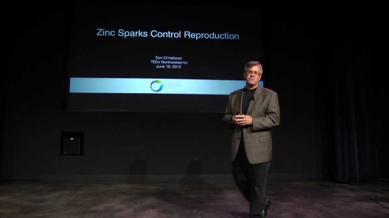 Zinc Sparks Control Reproduction: Thomas V. O'Halloran, PhD at TEDxNorthwesternU