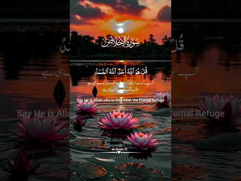 Surah_ikhlas Must Watch 😘❤️#alquran #qurantranslation #quranrecitation 