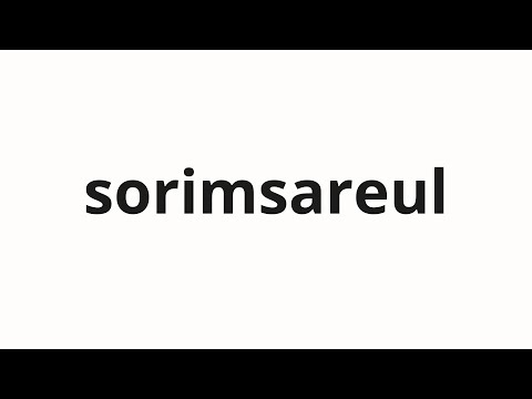 How to pronounce sorimsareul | 소림사를 (Shaolin Temple in Korean)