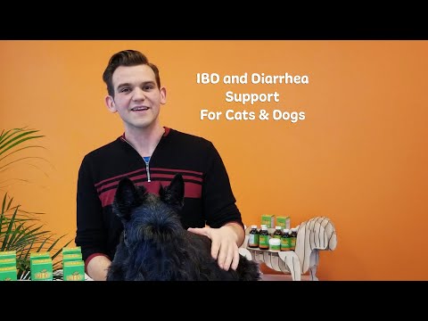 NHV Plantaeris - IBD and Diarrhea Support for Cats & Dogs