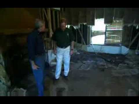 Mold Remediation Expert