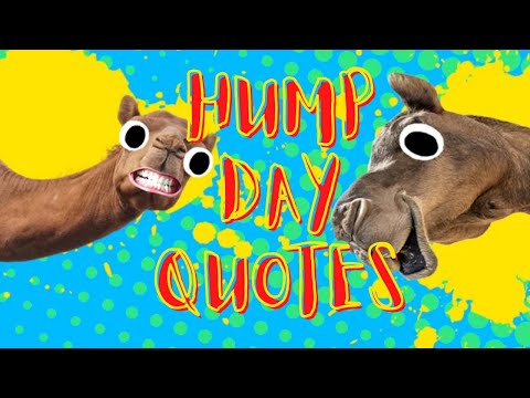 Wednesday Quotes For Wednesday Motivation