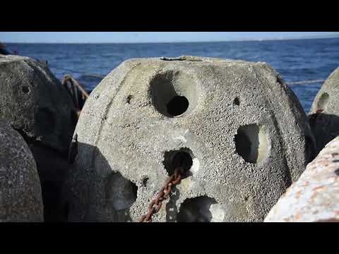 Coast Guard Cutter Maria Bray Crew Helps Create Underwater Reef Habitat ...