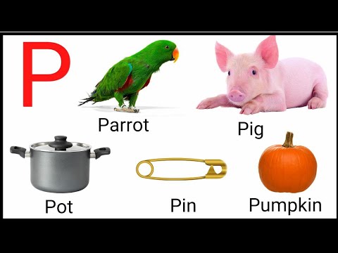 Letter P Words | Words that start with letter p with pictures | twin kids zone
