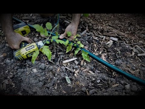 DIY Garden Hose Drip System
