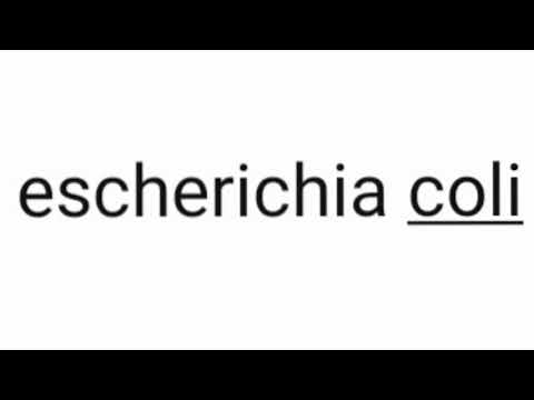 How to pronounce escherichia coli.
