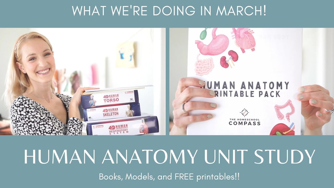 HUMAN ANATOMY UNIT STUDY || FREE HOMESCHOOLING UNIT STUDY PRINTABLES!!