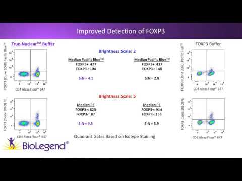 True-Nuclear™ Buffer Set Webinar by David Soper
