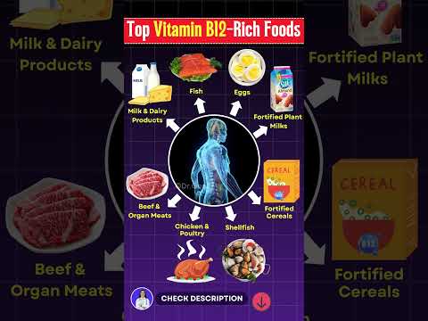 Top 10 Vitamin B12 Rich Foods for Energy & Brain Health