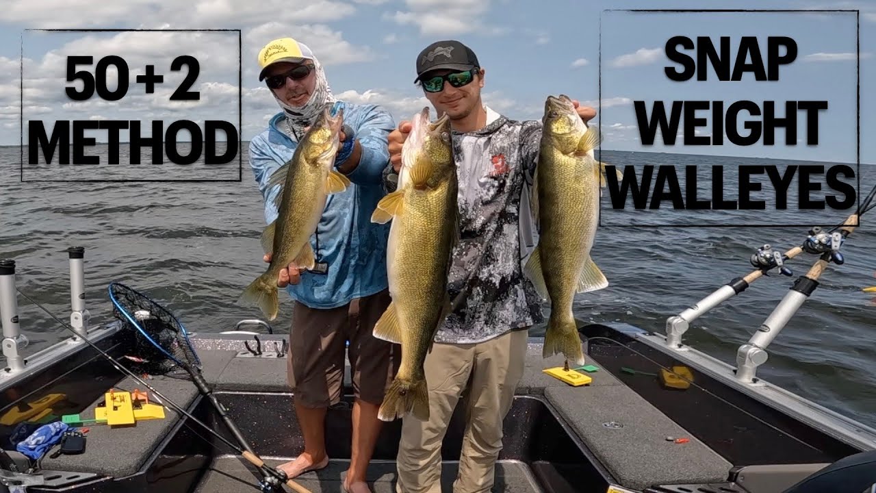 SNAP WEIGHTS FOR GREEN BAY WALLEYES USING 50+2 METHOD!!