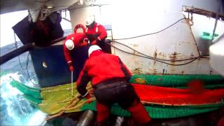 Deckhand Overview | What is a deckhand? - Zippia