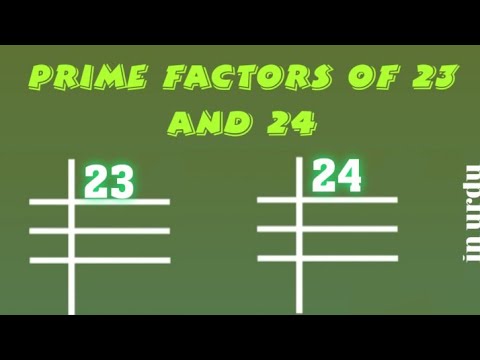 Prime Factors of 23 and 24 - Prime Factorization