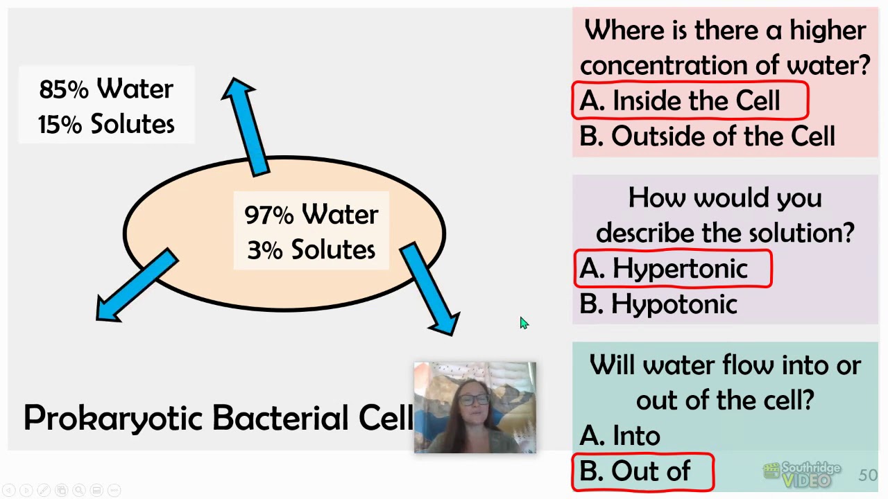 Practice with Osmosis