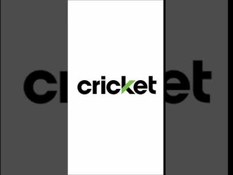 Newer Cricket Startup Sound (HQ RIP)