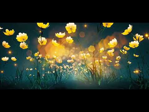 Walking in the fantasy yellow flowers magic garden loop video Background