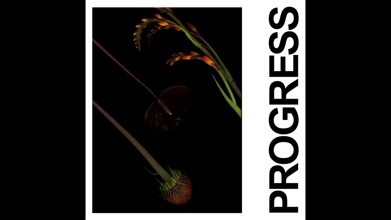 IDLES - PROGRESS (Official Audio)