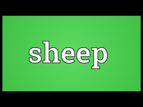 Sheep Meaning