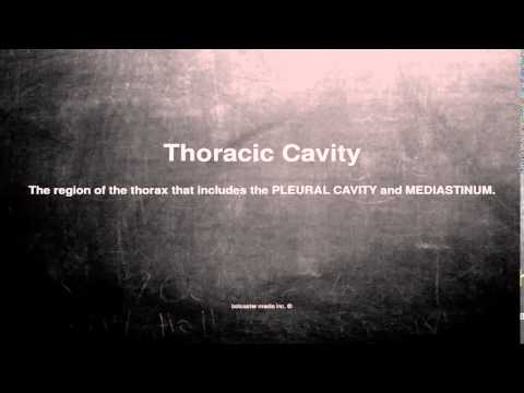 Medical vocabulary: What does Thoracic Cavity mean