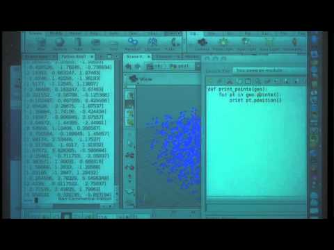 Introduction to Houdini and Python (boid crowd simulation) | Nelson Lim
