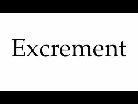 How to Pronounce Excrement