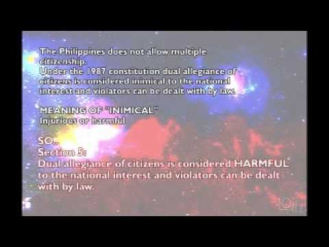 The 1987 Constitution Of The Philippines Article IV (Different Point Of View)
