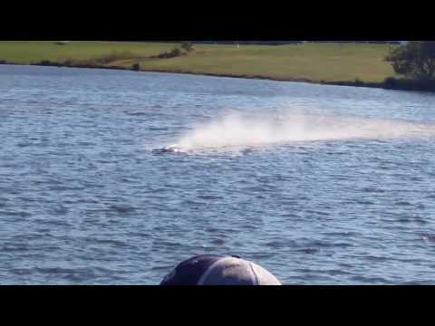 Multi Engine Hydro race from Mt Vernon, Il