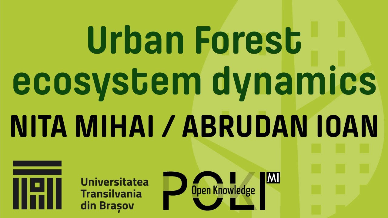 Urban Forest ecosystem dynamics