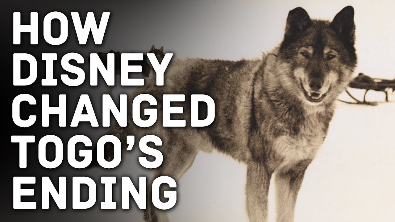 Togo Movie Trailer - Video