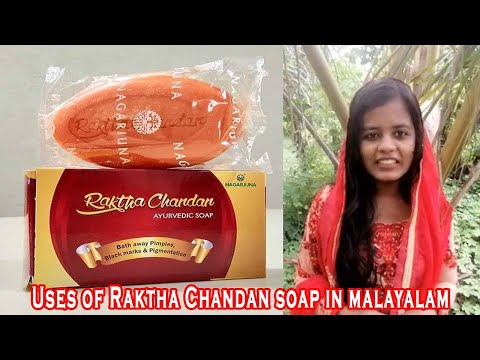 Ayurvedic Soap at Best Price in India