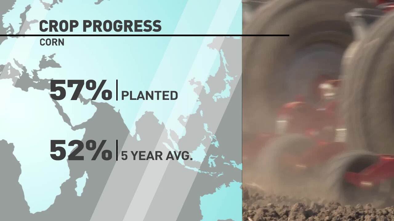 Crop Progress 05/12/26