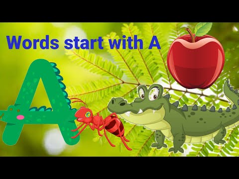 A for apple A for Ant.Words start with the letter A.