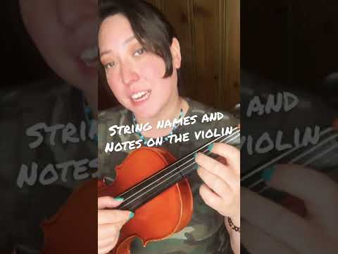 String names and notes on the violin