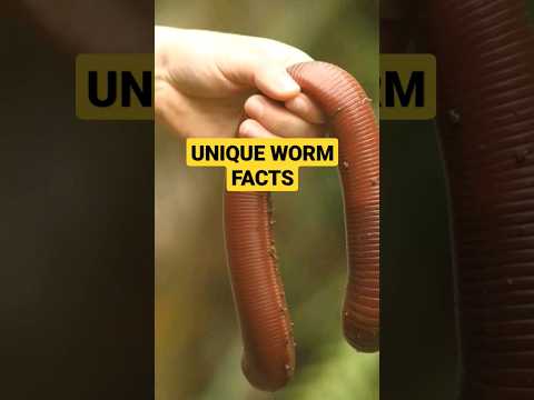 unique earthworms facts | amazing facts #amazingfacts #uniquefacts #earthworm