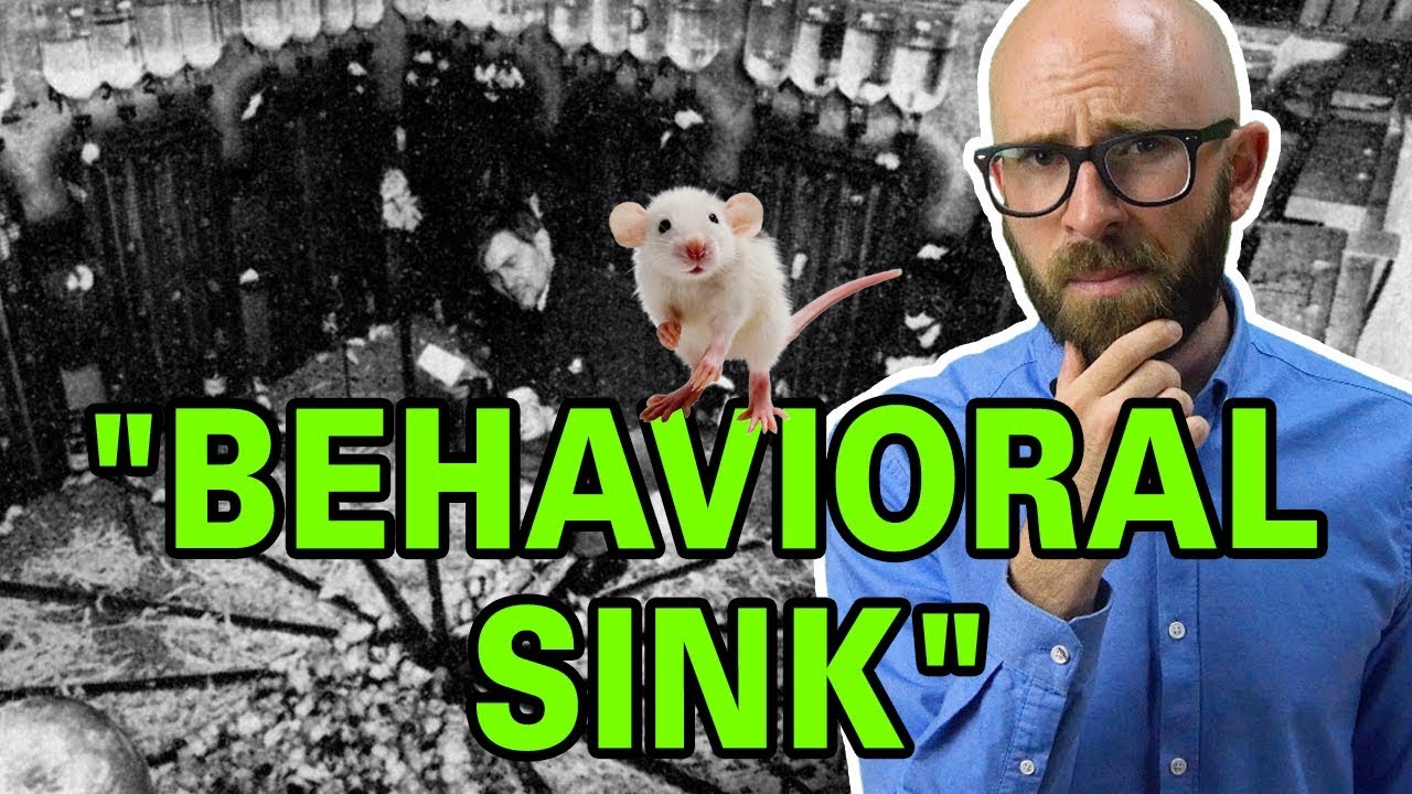 The Rise and Fall of Calhoun's Mouse Utopia: A Cautionary Tale | Galaxy.ai