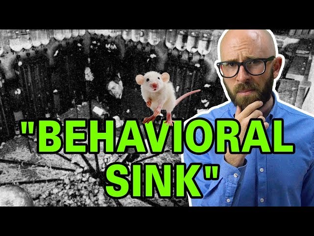 The Rise and Fall of Calhoun's Mouse Utopia: A Cautionary Tale | Galaxy