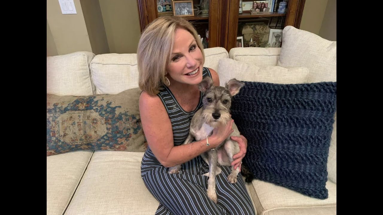 Meet Kristi Krueger's new pet, a schnauzer rescued from hoarding house
