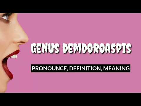 How to pronounce GENUS DEMDOROASPIS, What is GENUS DEMDOROASPIS? Definition, Meaning, Origin