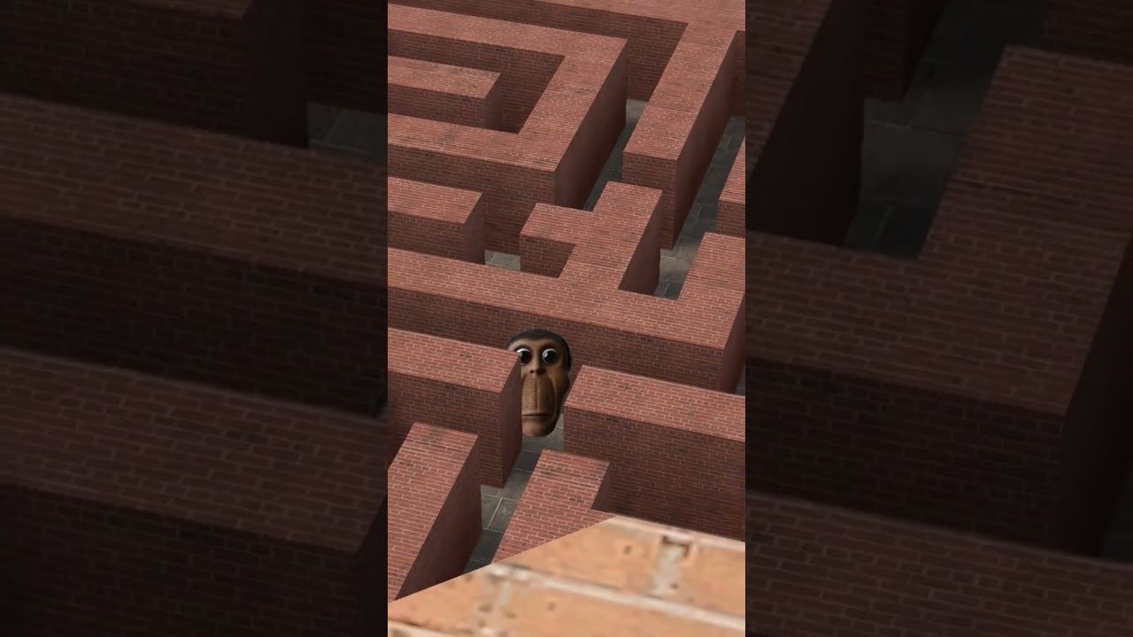 Vs. Obunga #2 #garrysmod #nextbots #nextbotchasing