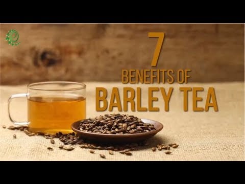 7 Reasons Why You Should Add Barley Tea To Your Diet | Organic Facts