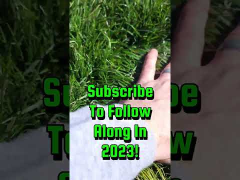 Spring Is Getting CLOSER #diylawncare #indianalawncare