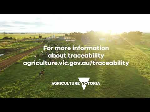 What is traceability?